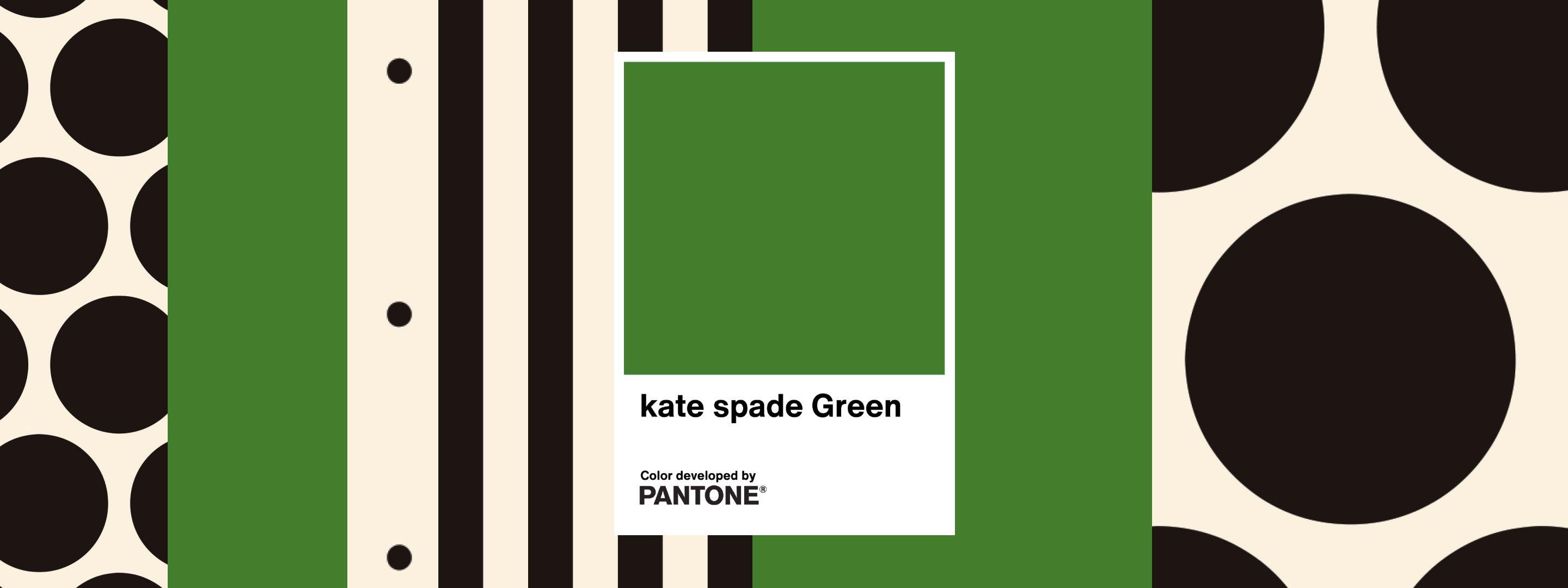 Pantone Color Ideas - Lynchburg Full Service Marketing Agency